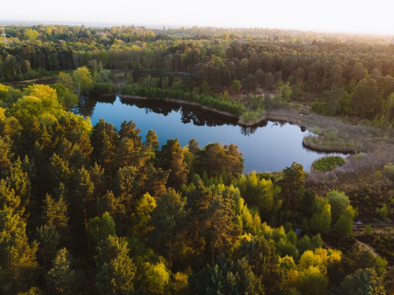 Best places to live in Surrey 2020
