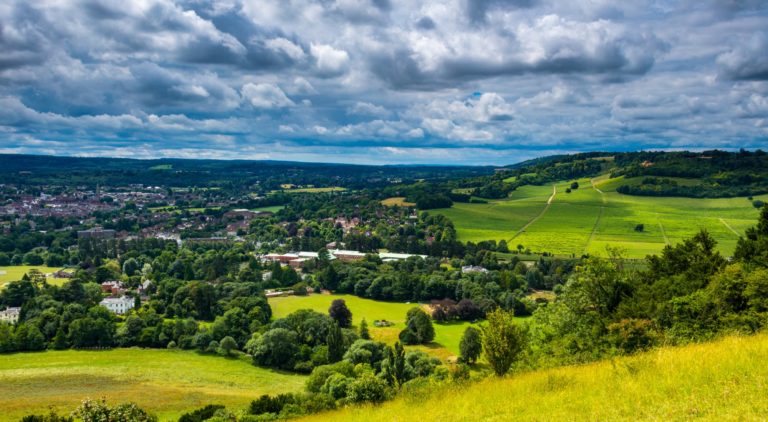 Smaller A walk in July along box hill in surrey north downs Surrey L ...